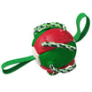 Interactive Flying Disc Ball Dog Toy – Wowpetsmart